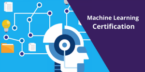 Top 5 SQL Server Certifications to Boost Your Career