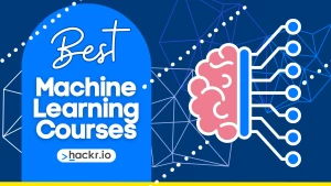 What is Java? A Beginner's Guide to Java & It's Feature